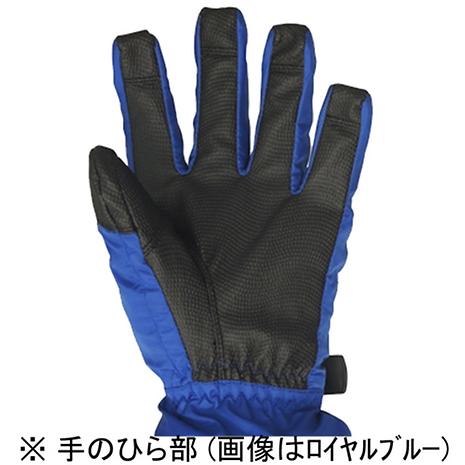 ウェザーテック オーバーグローブ | ISUKA | イスカ | KSHVV9-好日山荘(コウジツサンソウ)-登山・クライミング・アウトドア用 ...